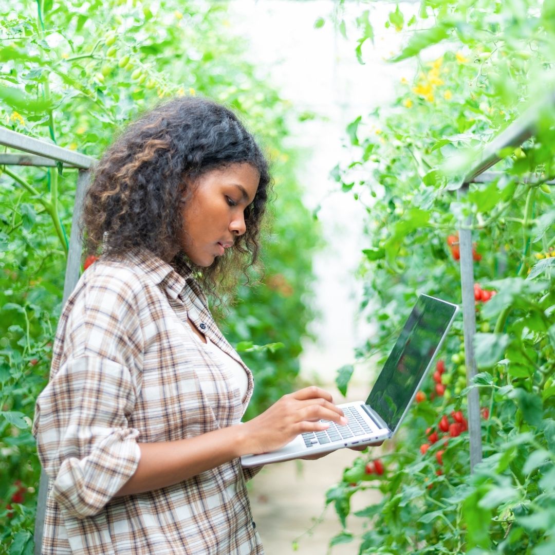 Become a Vertical Farm Engineer Today!